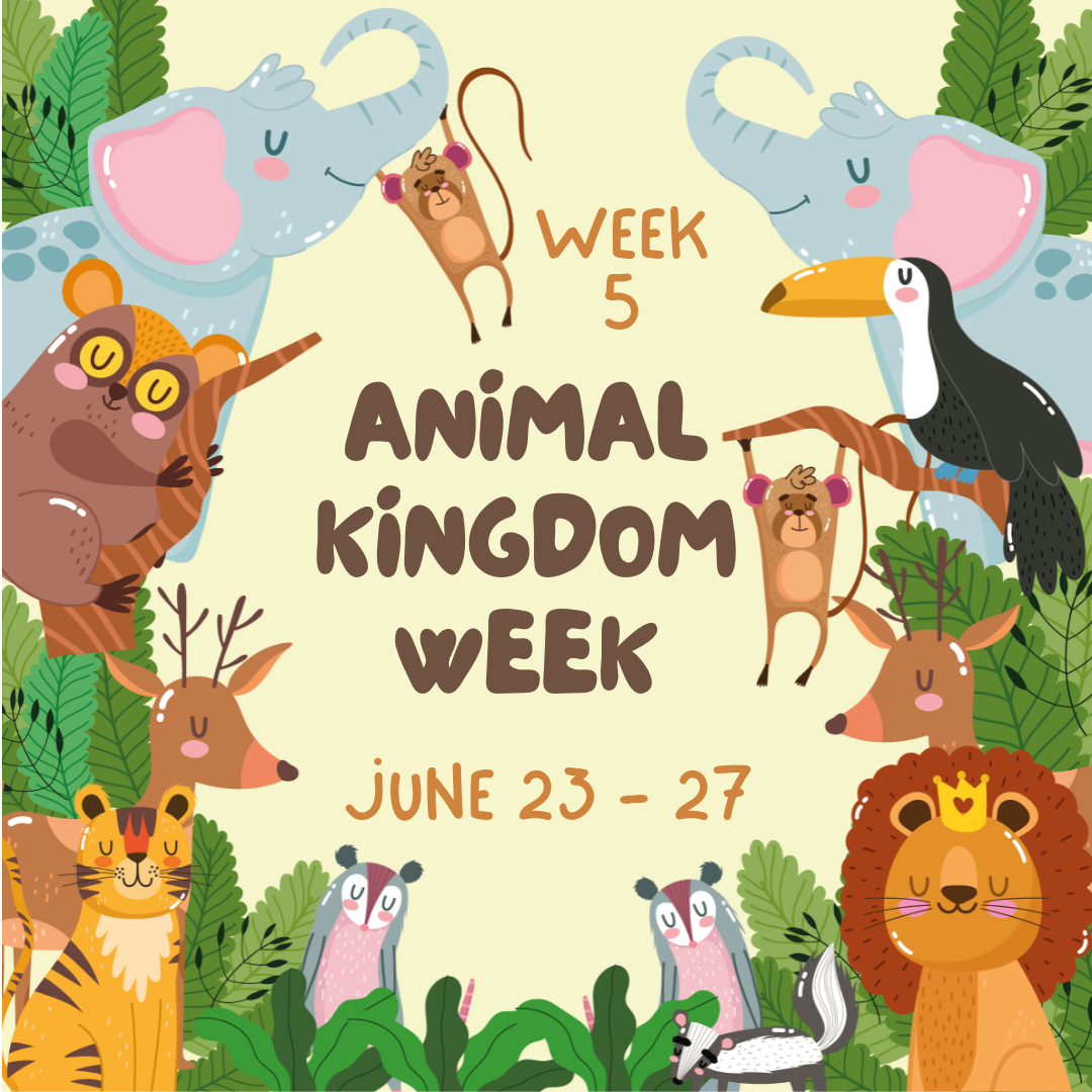 2025 Summer Day Camp